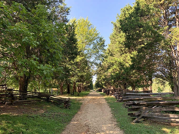 Those towering trees create a natural cathedral that makes even the most devoted couch potato want to take a stroll.