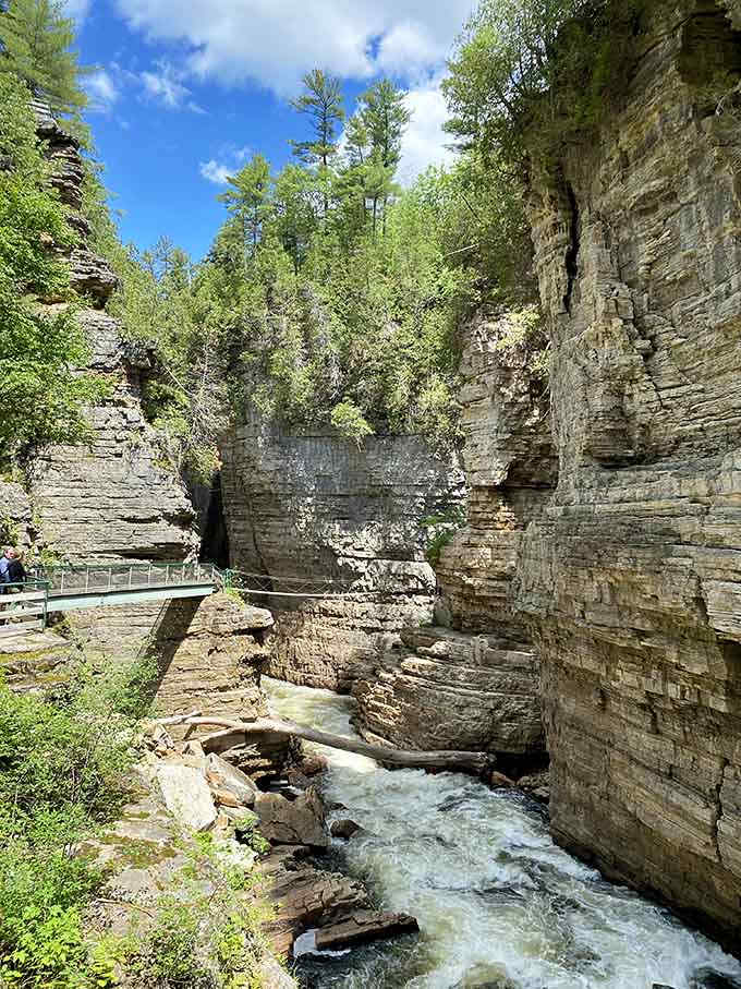 Ancient sandstone walls tower overhead, revealing 500 million years of geological history in stunning layered detail.