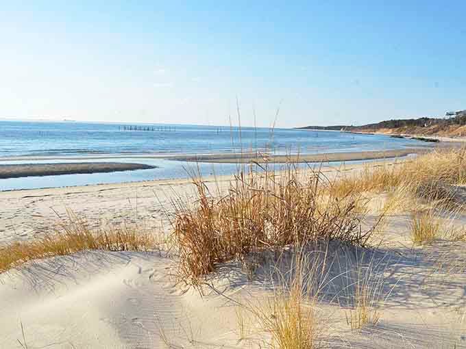 Golden beach grasses frame a view that'll make you question why you ever vacation anywhere else.