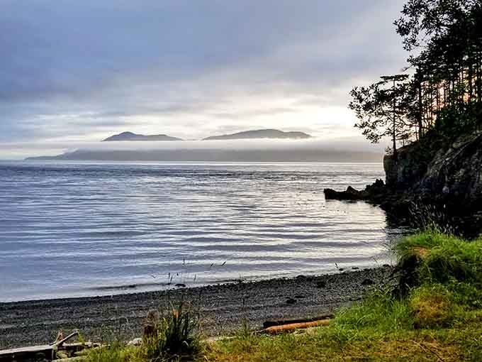Wake up to serene beach views and misty island horizons that make you forget the mainland even exists out here.