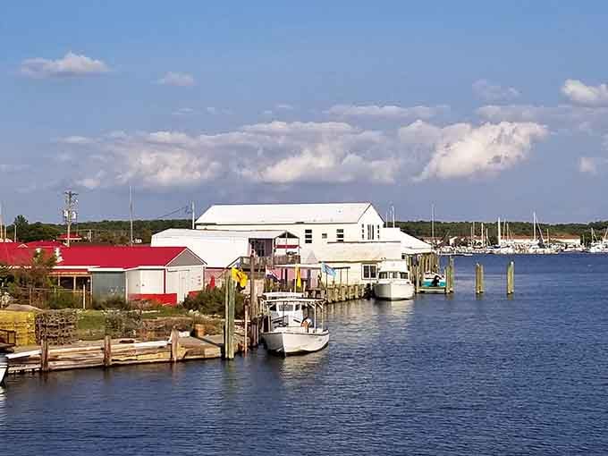 Working boats tied up alongside seafood houses where the catch goes from bay to plate faster than most commutes.