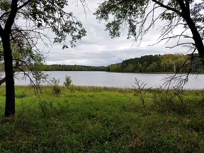 Framed by ancient trees, this tranquil shoreline whispers the kind of peace you can't find scrolling through your phone.