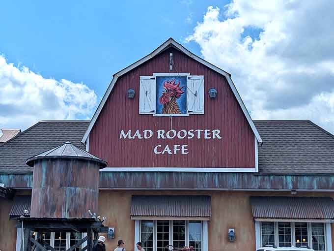 That rooster knows something you don't: the best biscuits and gravy are hiding inside this barn.