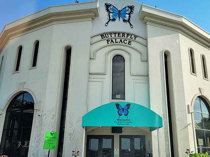 The turquoise awning welcomes you like a friendly wave, promising thousands of butterflies and humidity your hair won't appreciate.