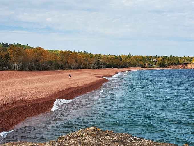 The pink shoreline curves gently into the distance, proving nature's best work often hides in plain sight.