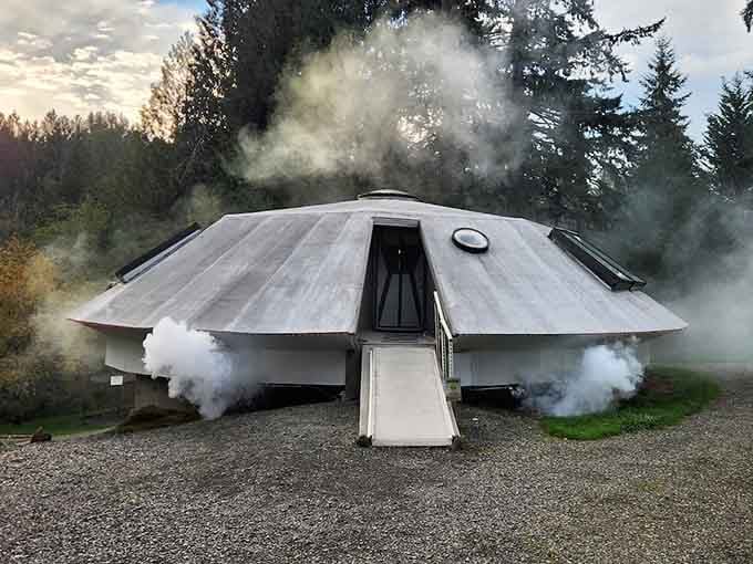 When your Airbnb comes with its own special effects budget, you know someone's committed to the full experience.