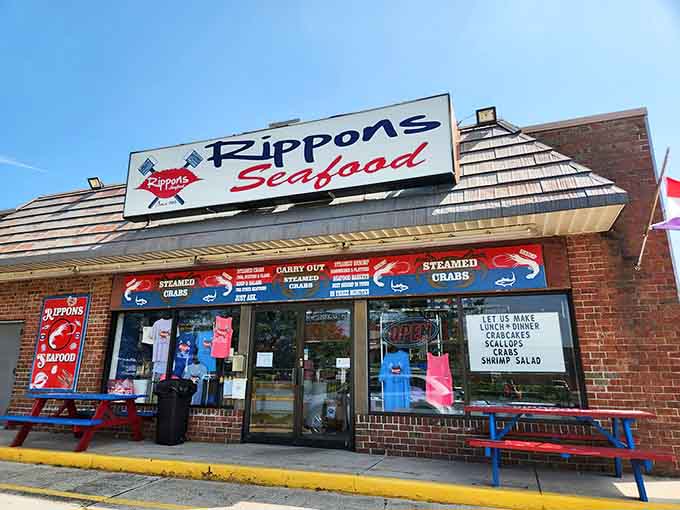 That bright signage and cheerful crab logo practically wave you in from Philadelphia Avenue like an old friend.