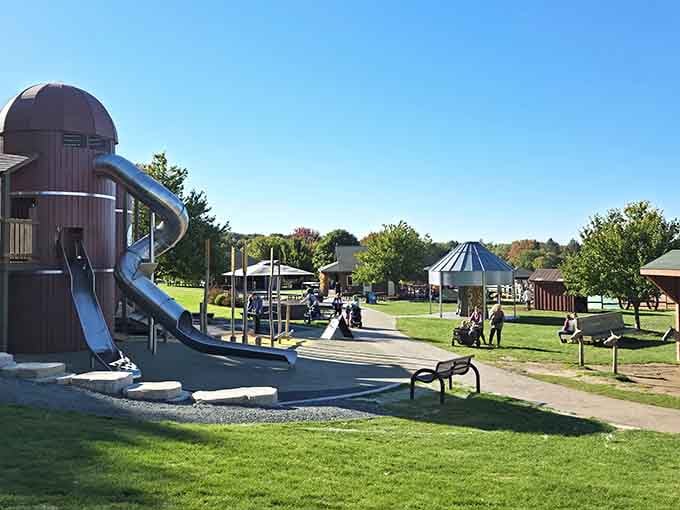 Modern playground meets classic farm charm, because kids need somewhere to burn energy between all those animal encounters.