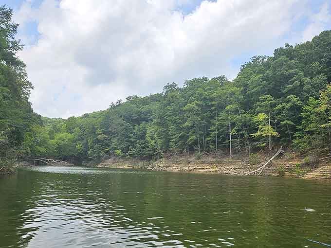 Dense forest meeting pristine lake water delivers that "middle of nowhere" feeling without actually getting lost in nowhere.
