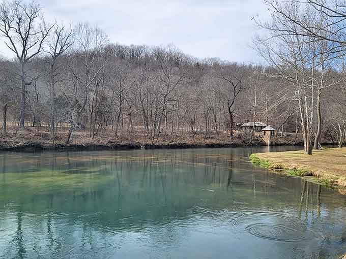 That crystalline water looks like someone poured liquid emeralds into the Ozark hills and forgot to turn off the tap.