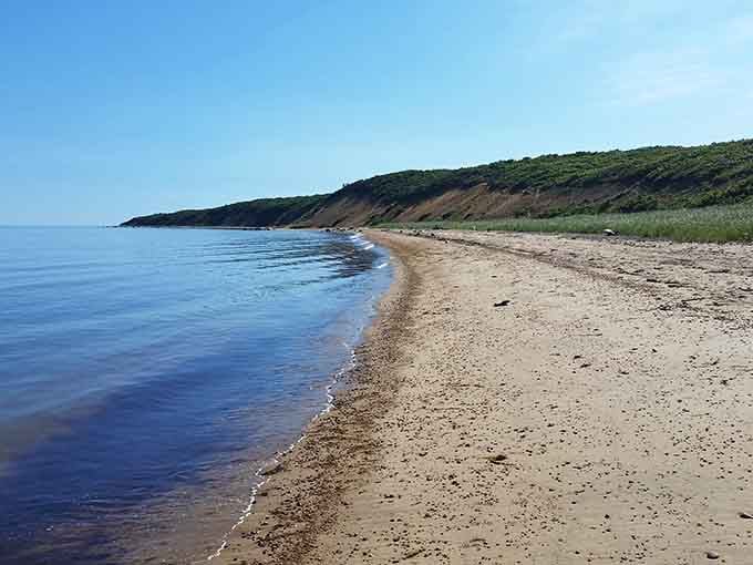 That pristine shoreline stretching into the distance proves paradise doesn't require a passport or tropical coordinates.