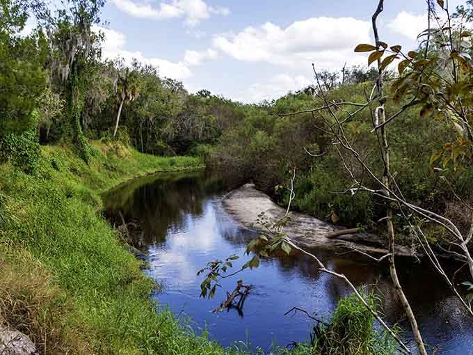 The river's tea-stained waters wind through green banks, creating postcards that no theme park could ever replicate or improve.