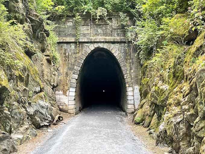 When moss-covered rocks frame your entrance, you know you're about to walk through something genuinely special here.