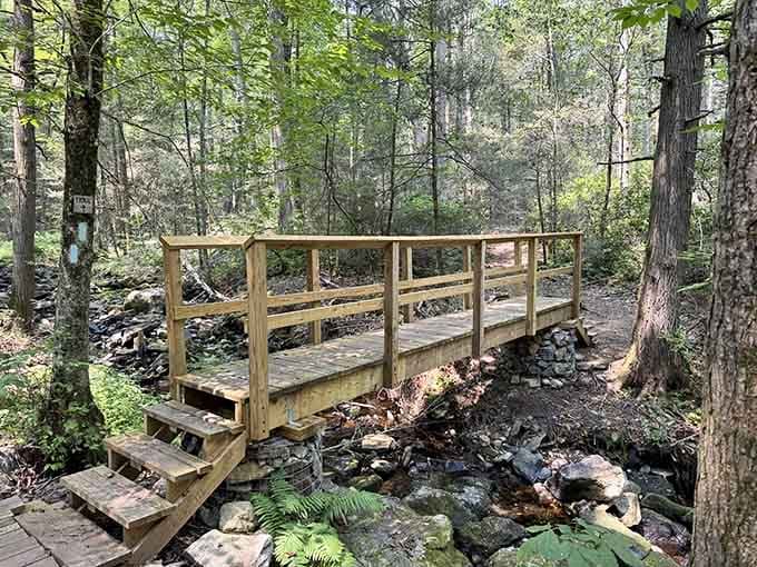 Your gateway to Connecticut's hidden waterfall wonderland starts with this charming wooden bridge crossing the babbling stream below.