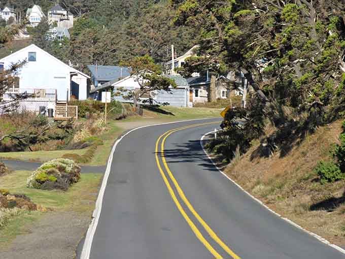 This ribbon of asphalt hugging the forest proves that sometimes the journey really is the destination.
