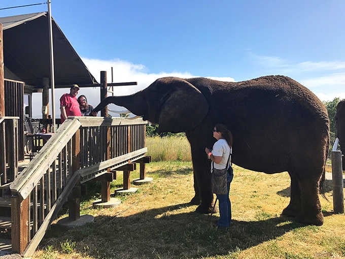 When your morning commute involves saying hello to a several-ton neighbor, you know you're not in Kansas anymore.