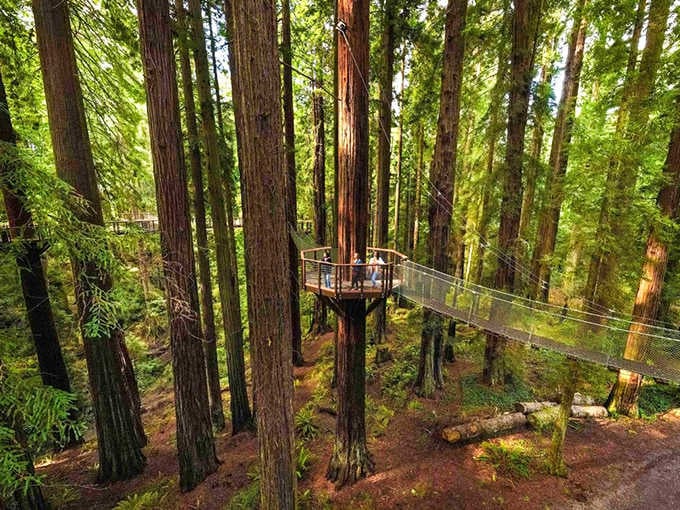 That viewing platform isn't just showing off, it's your front-row seat to nature's oldest theater production.