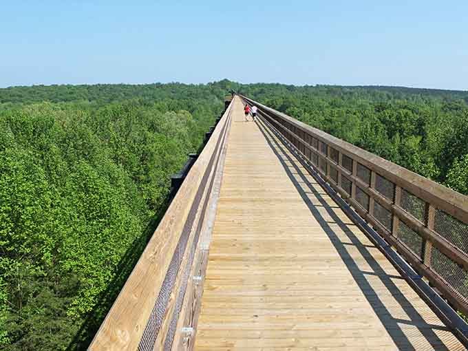 That wooden walkway stretching into the distance isn't just a path, it's your gateway to feeling like you're walking on air.