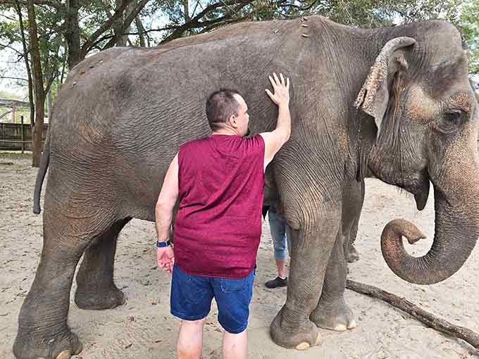 Getting up close with these gentle giants is the kind of experience that stays with you forever.