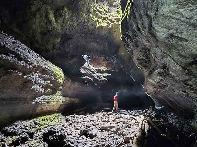 Nature's grand entrance: stepping into Ape Cave feels like the earth itself is welcoming you underground.