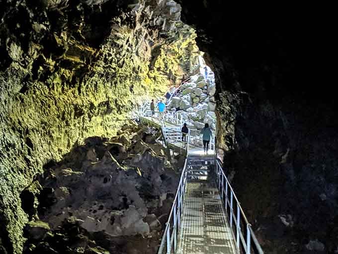 This isn't your average cave tour; it's a journey through volcanic history with cathedral-like ceilings overhead.