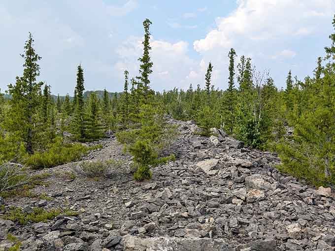Nature reclaims the old quarry with determined pines sprouting from crushed limestone, creating an unexpected moonscape worth exploring.