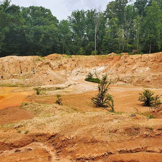The earth here doesn't hide its treasures behind velvet ropes, it invites you to dig right in and find them yourself.