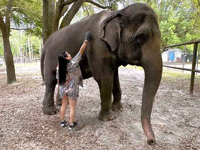 Getting up close with these gentle giants is the kind of experience that stays with you forever.