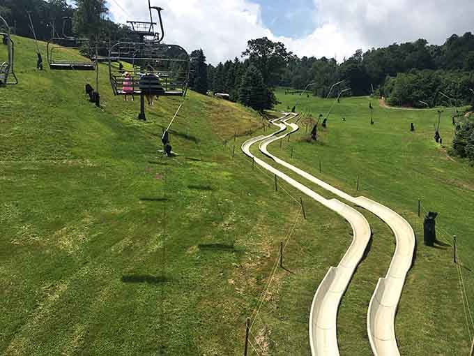 Summer tubing lanes curve through the landscape like nature's own roller coaster, minus the safety lecture and overpriced photos.
