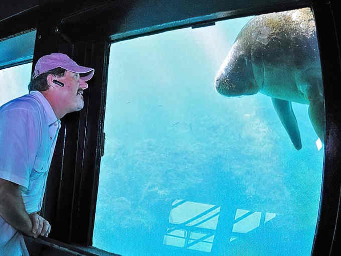 When a thousand-pound sea cow floats inches from your nose, suddenly everything else seems wonderfully insignificant.