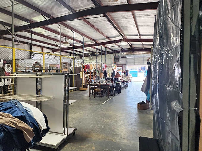 Climate-controlled indoor spaces stretch before you like a maze, each turn revealing another vendor's carefully curated collection.