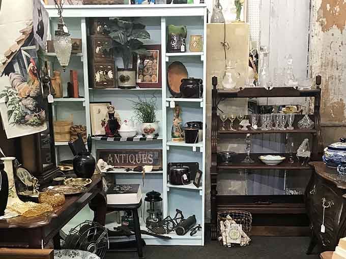 Weathered shelves and mismatched displays create the perfect organized chaos where your next favorite find is hiding.