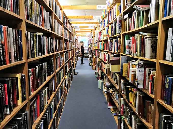 Those towering shelves packed with colorful spines create corridors of pure literary possibility stretching into infinity.