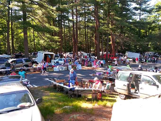 Welcome to treasure-hunting paradise where 13.5 acres of possibilities await your discovery and your wallet's demise.