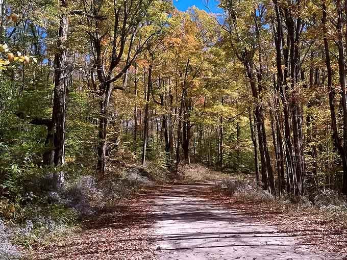 When autumn decides to show off, this is what happens: pure New England magic on display.