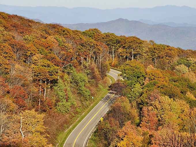 From up here, the road looks like a ribbon winding through nature's own impressionist painting of fall perfection.