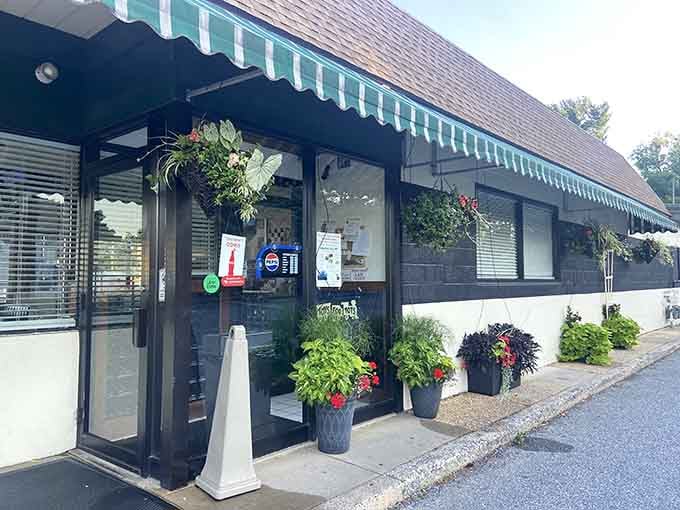 Those flower boxes aren't just decoration; they're a promise that someone here cares about the details inside too.