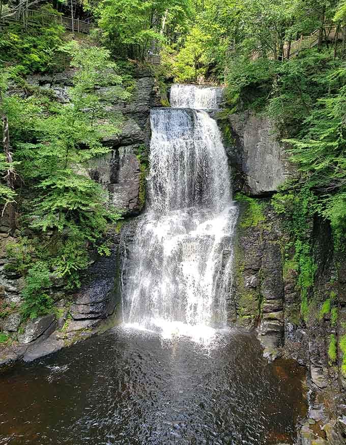 Nature's power on full display, framed by emerald green that makes you remember why Pennsylvania earned its forests.