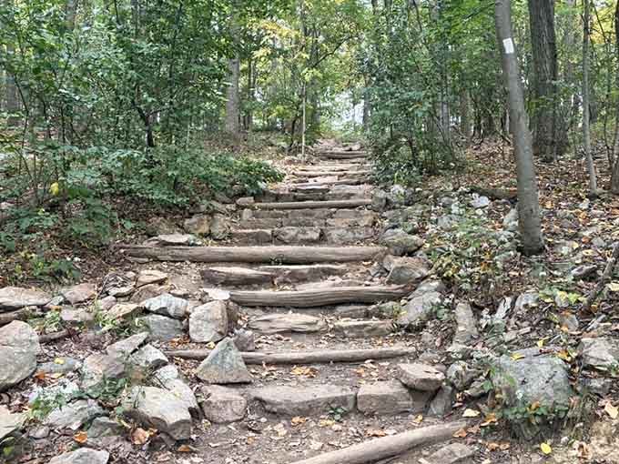 When the trail starts throwing stairs at you, that's just Maryland's way of saying the views are worth it.