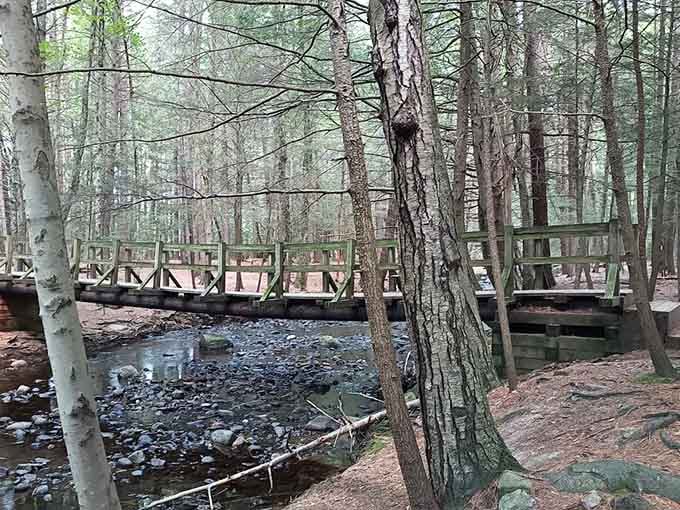 That wooden bridge crossing the stream looks like something straight out of a New England fairy tale.