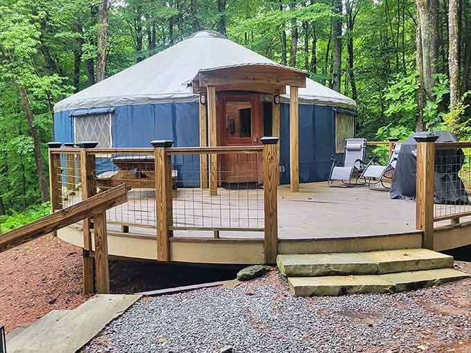 Your circular home away from home, nestled in the trees like nature's best-kept architectural secret waiting to be discovered.