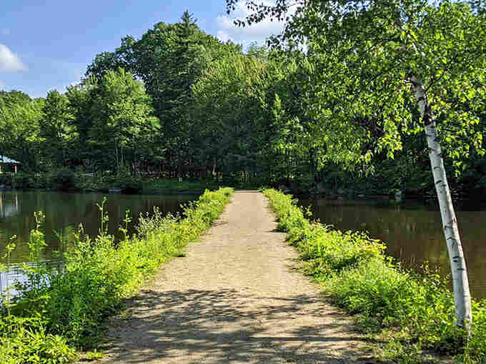 The trail passes by tranquil water features throughout the park, adding extra scenic beauty to your outdoor adventure in central Massachusetts.