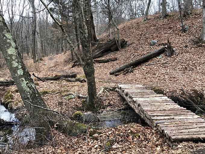 Wooden bridges over babbling brooks: proof that simple pleasures still beat fancy vacations.