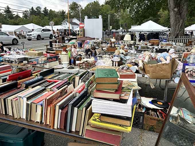 Mountains of books waiting to tell their stories, each spine a portal to someone's forgotten library.