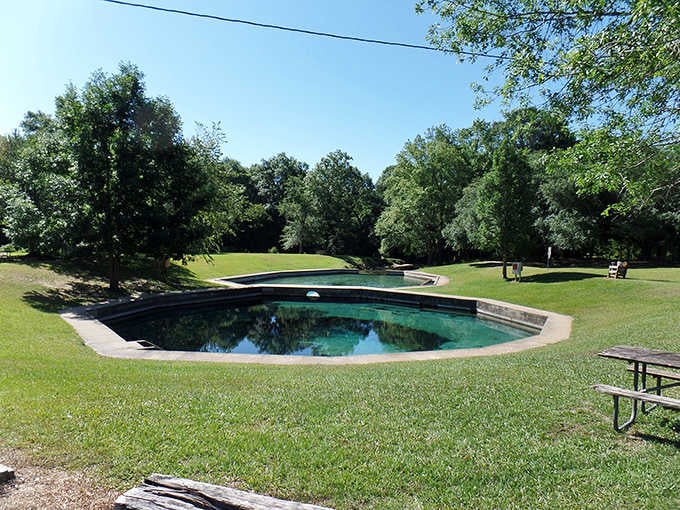 Surrounded by green grass and tall trees, this natural pool looks like someone's wildest backyard dream come true.