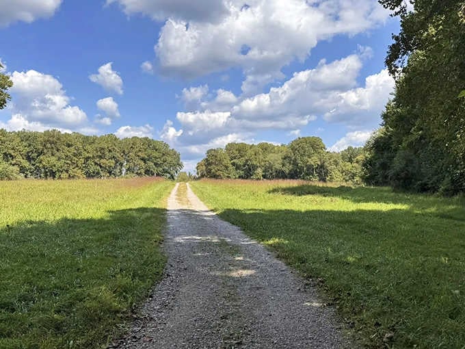 Nature's welcome mat: wide open spaces that make you forget you're still technically close to civilization and traffic.