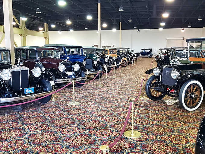 Row after pristine row of vintage beauties lined up like they're waiting for the world's fanciest parade.