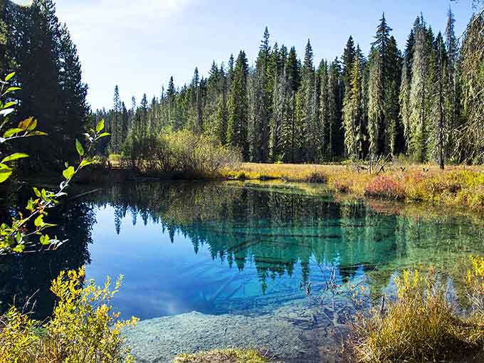 That blue is so vivid, you'll wonder if someone accidentally dropped food coloring in nature's punch bowl.