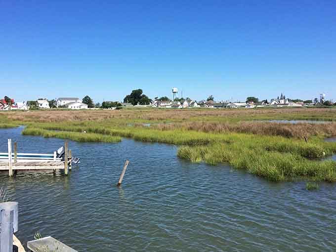 Houses dot the horizon where marshland meets water, a landscape so flat you can practically see tomorrow coming.