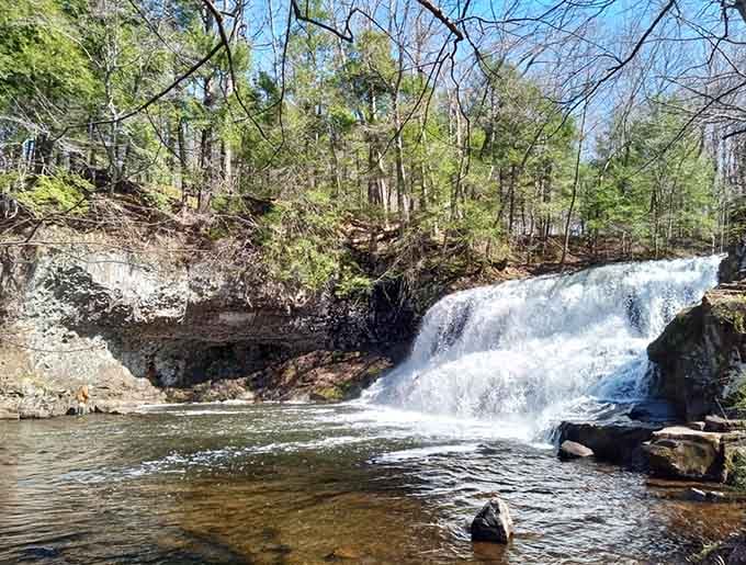 Spring runoff turns these falls into a thundering spectacle that drowns out all your worries.